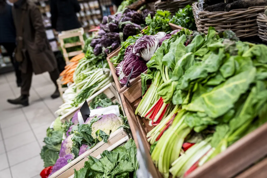 Cirkusrevyen: Afslører vild nyhed - Avisen.dk