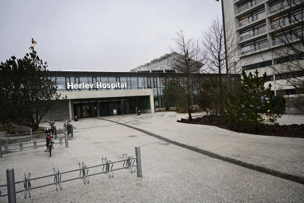 Komiker og influencer Daniel Hoffe hentet af ambulance - Avisen.dk