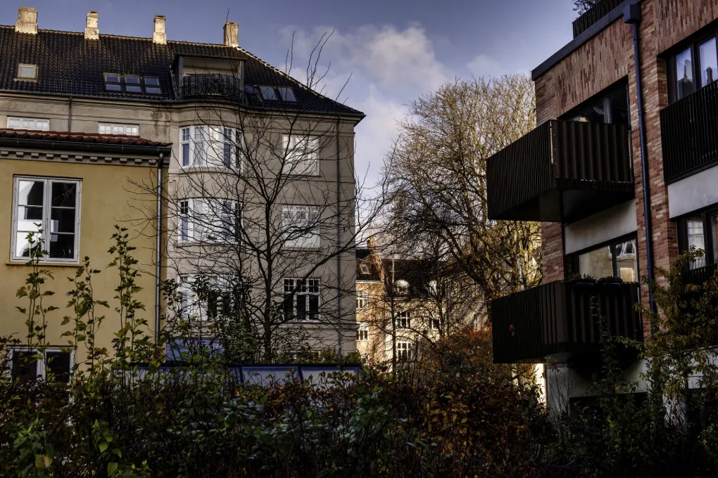 Avisen.dk